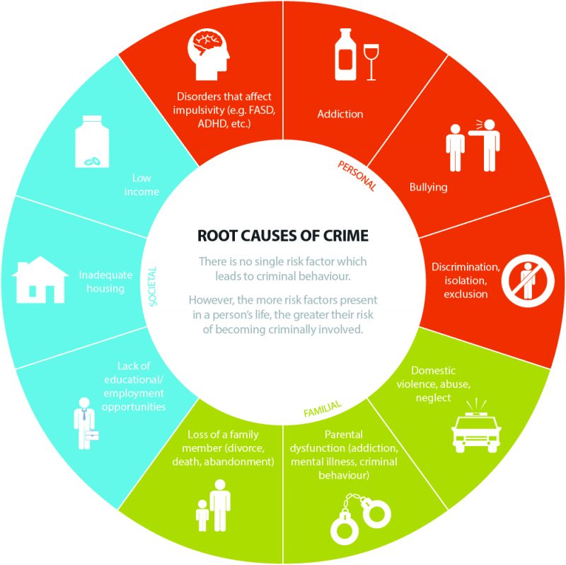Moving forward – the Brain Story – Calgary John Howard Society